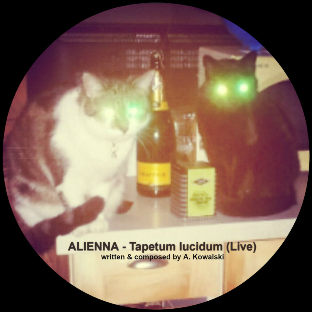 Tapetum lucidum (Live) released on Bandcamp ⋆ ALIENNA ALIENNA