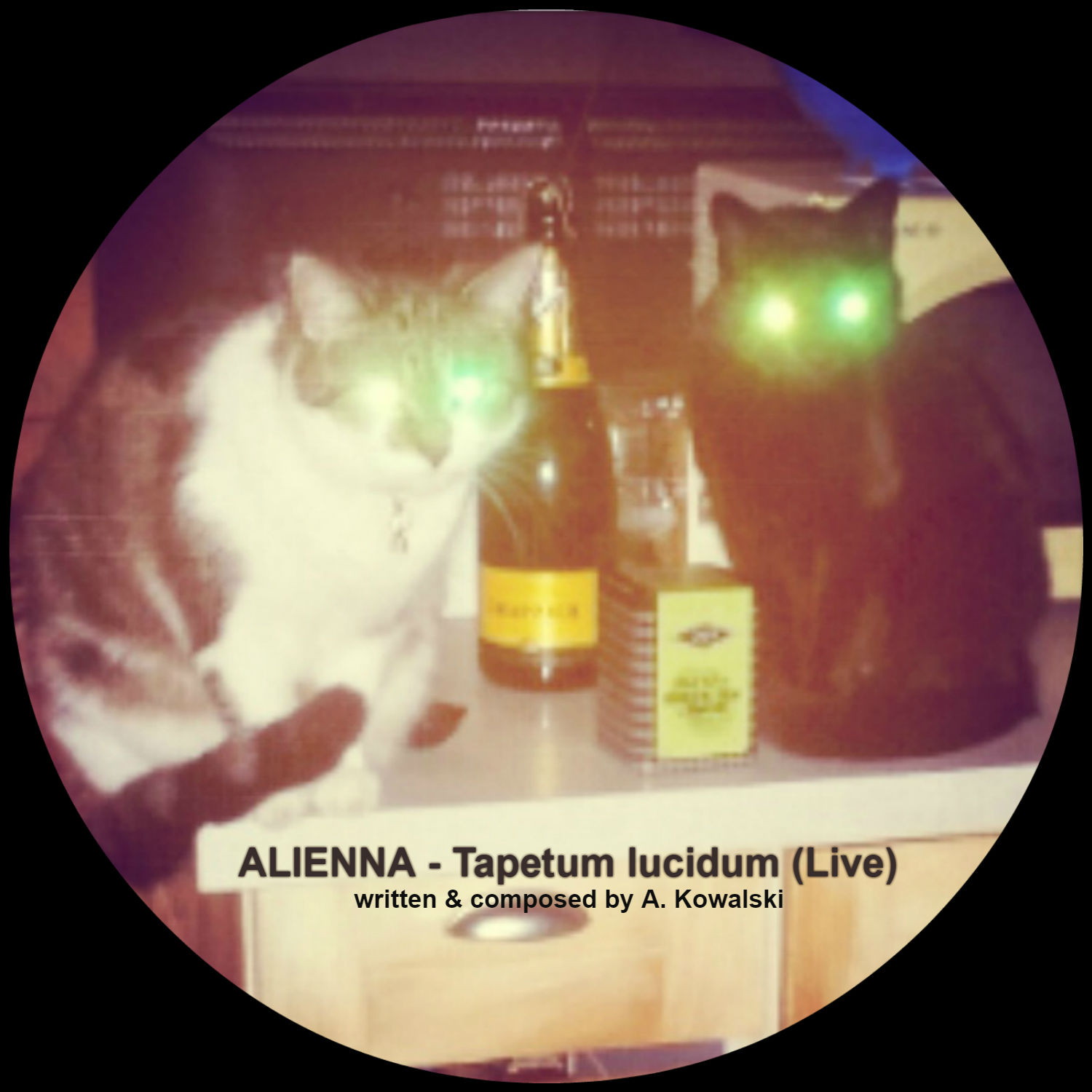 Tapetum lucidum (Live) released on Bandcamp ⋆ ALIENNA ALIENNA
